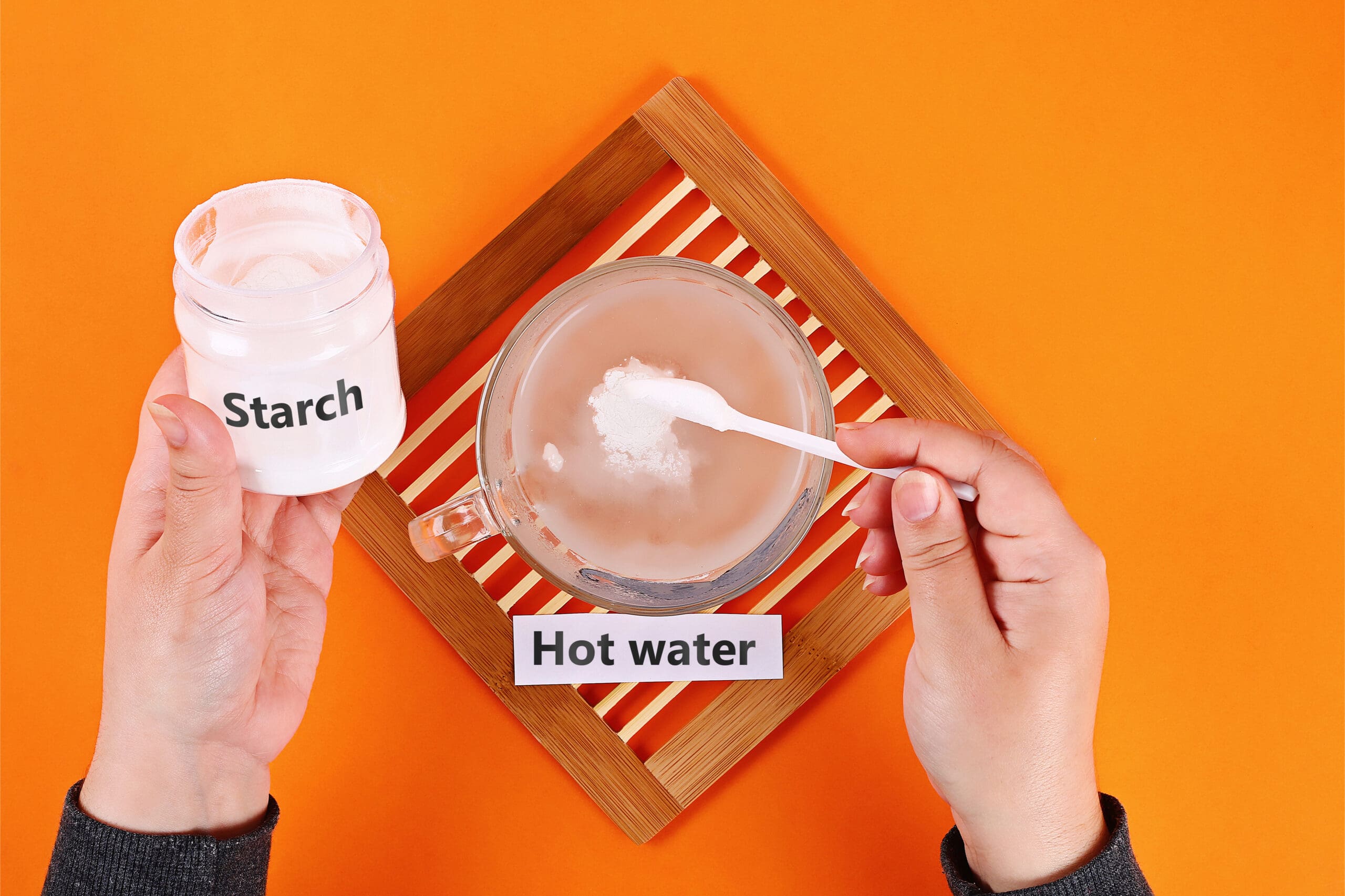 Complete Guide on Small Animal Emergency Veterinarians