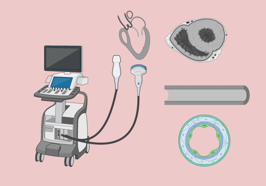 Assessment of the intravascular volume status with point-of-care ...