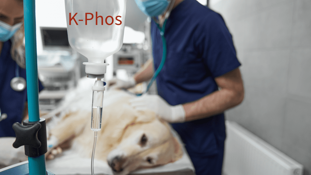 Intravenous Phosphate Supplements for Dogs & Cats