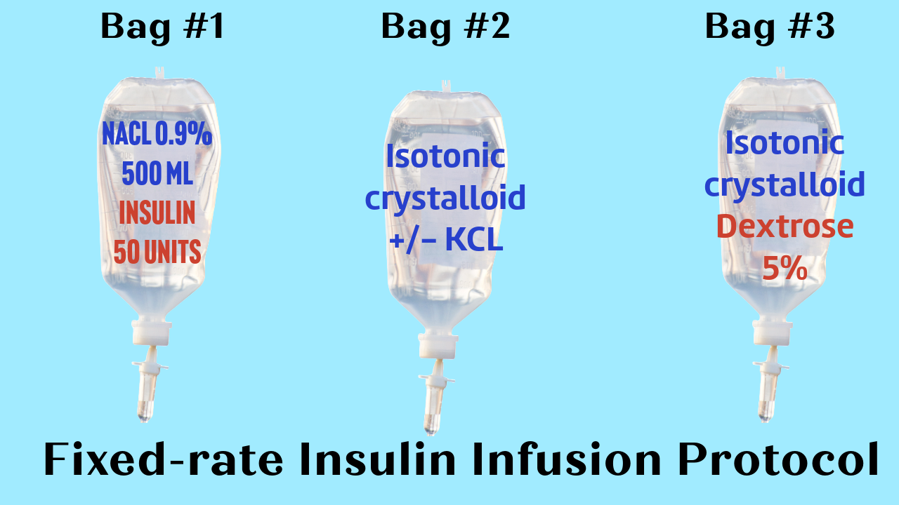 Deep dive into insulin infusion protocols for management of diabetic ketoacidosis in dogs and ...
