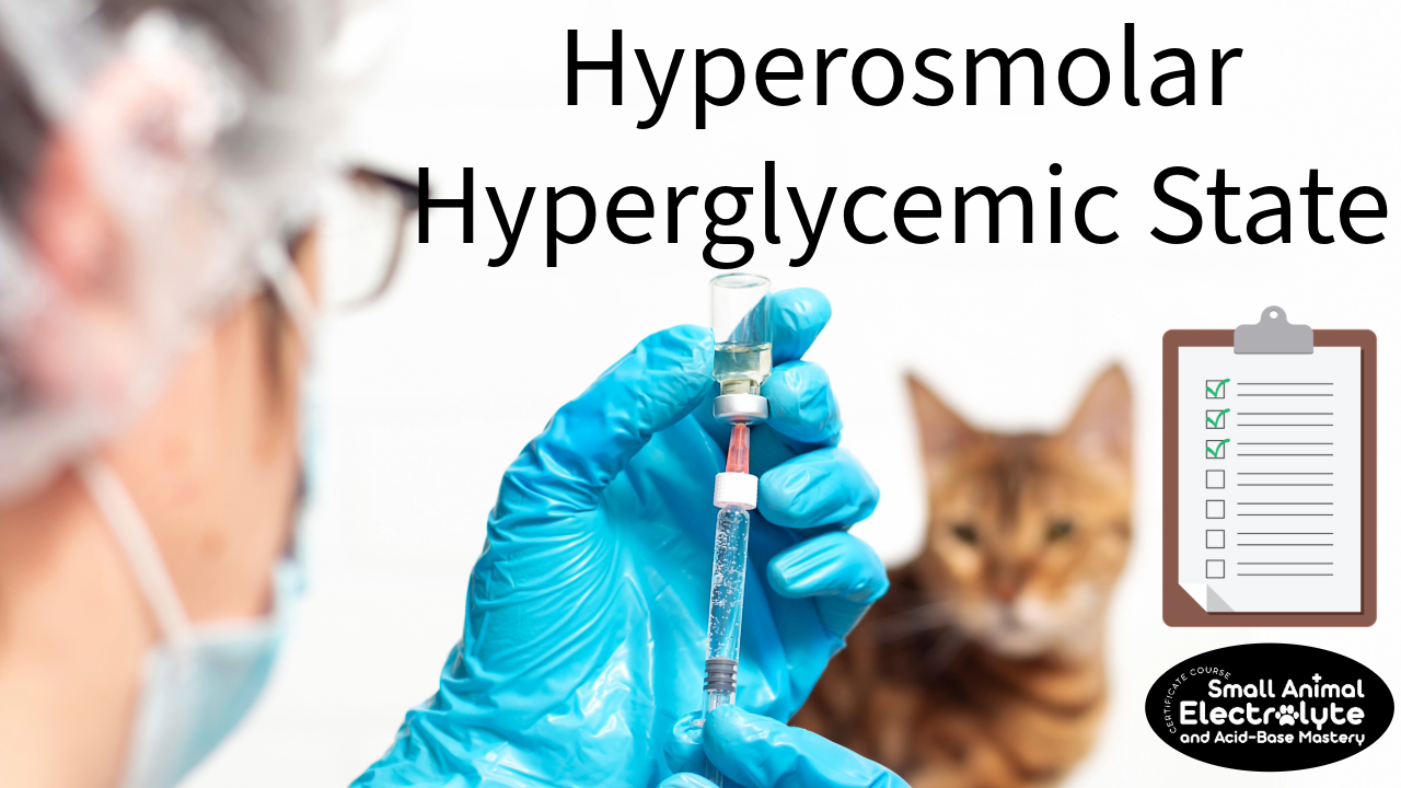 Management of Hyperosmolar Hyperglycemic State (HHS) in Dogs and Cats ...